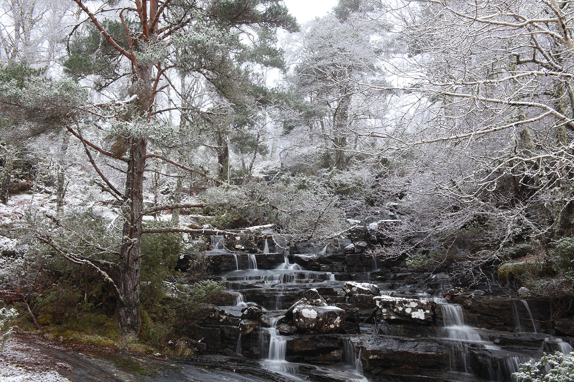 The first snow of winter
