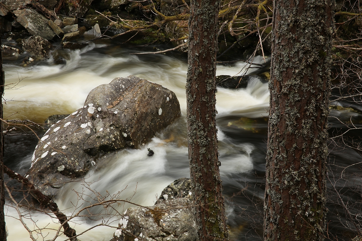 Below Badger Falls
