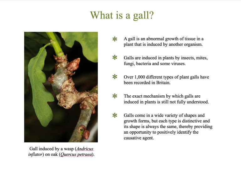 An Introduction to Plant Galls